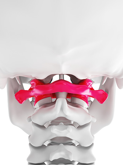 Atlastherapie in Heusenstamm - Atlaskorrektur und Physiotherapie